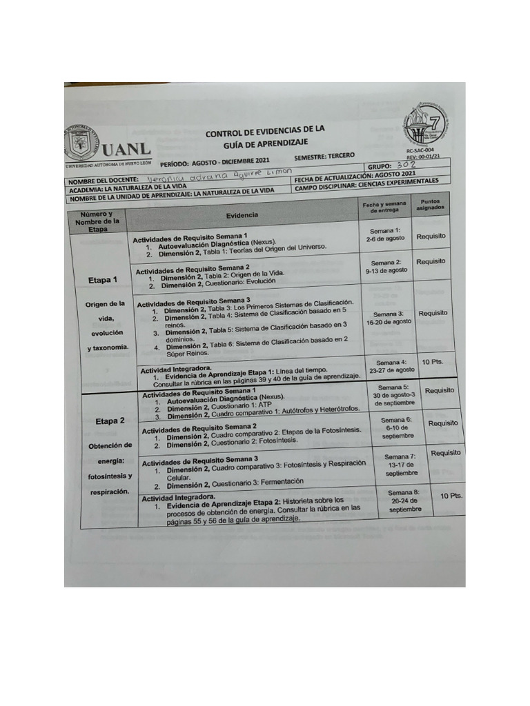 Control de Evidencias - Marp | PDF