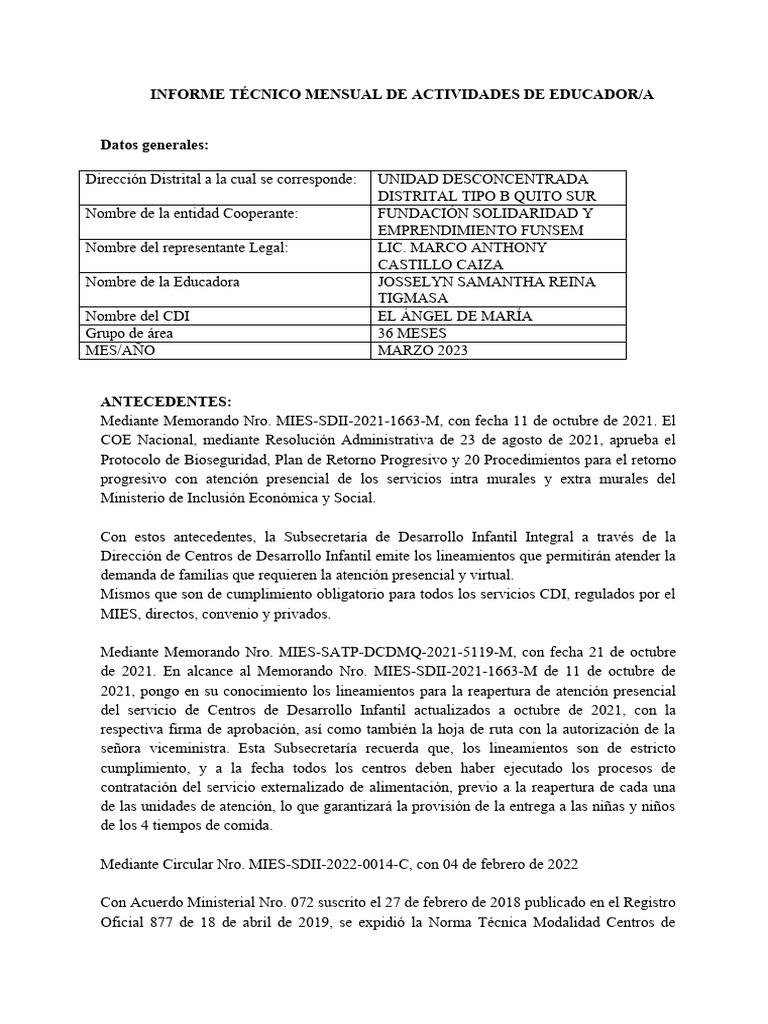 Ejemplo de Informe | PDF | Educación de la primera infancia