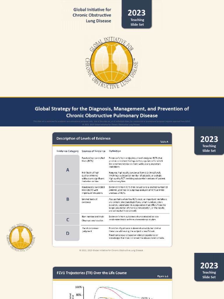 GOLD 2023 Teaching Slide Set v1.2 17feb23 | PDF | Respiratory Diseases ...