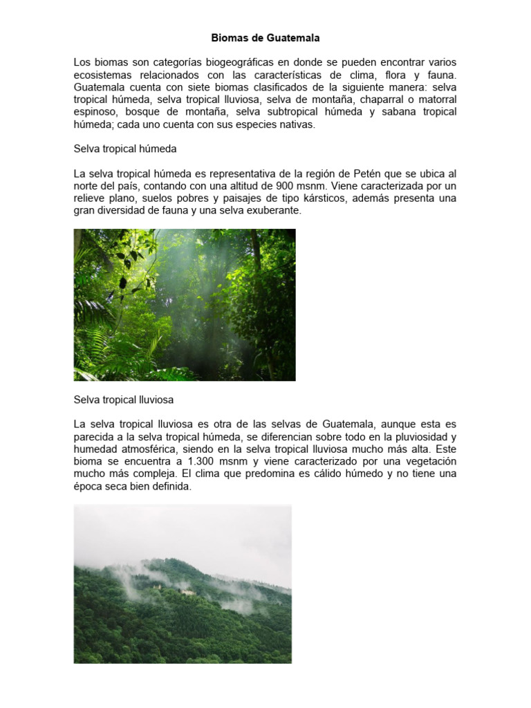 Tipos de Biomas de Guatemala | PDF | Selva | Zona tropical