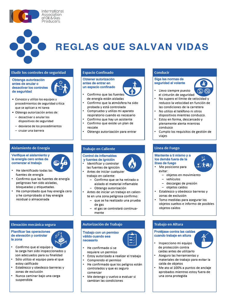 Reglas Que Salvan Vidas | PDF