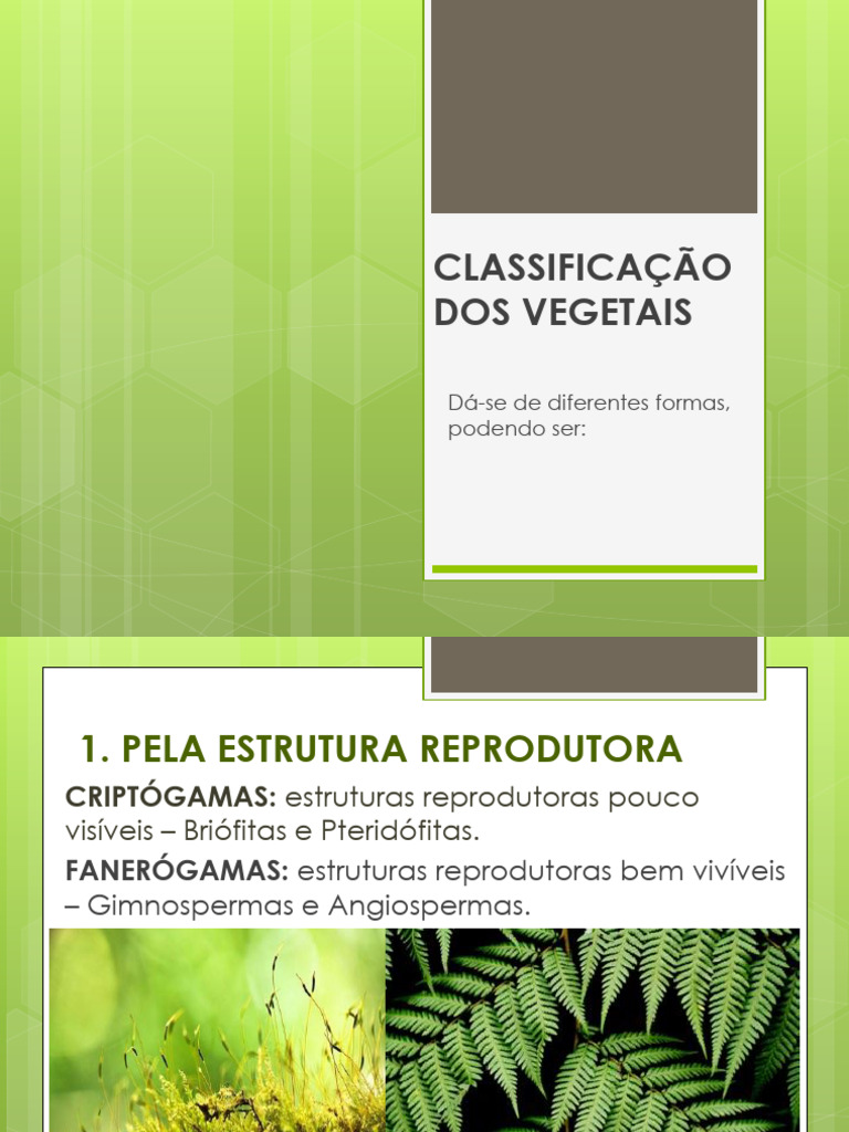 CLASSIFICAÇÃO DOS VEGETAIS | PDF