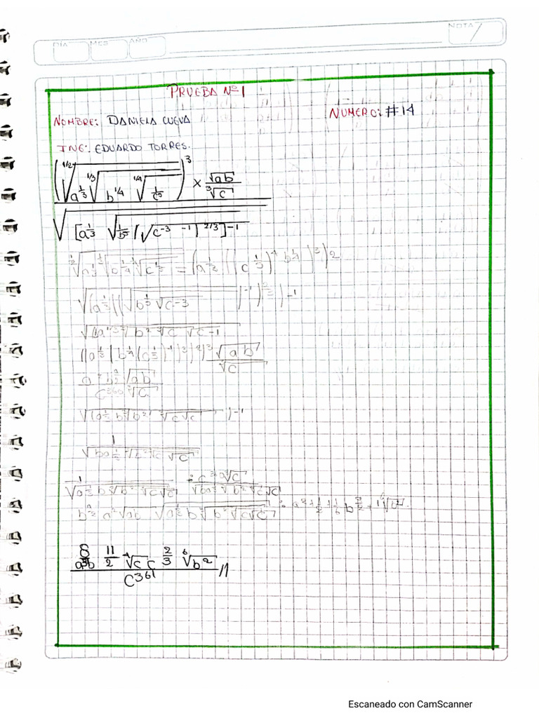 Daniela Cueva - Prueba - #14 | PDF