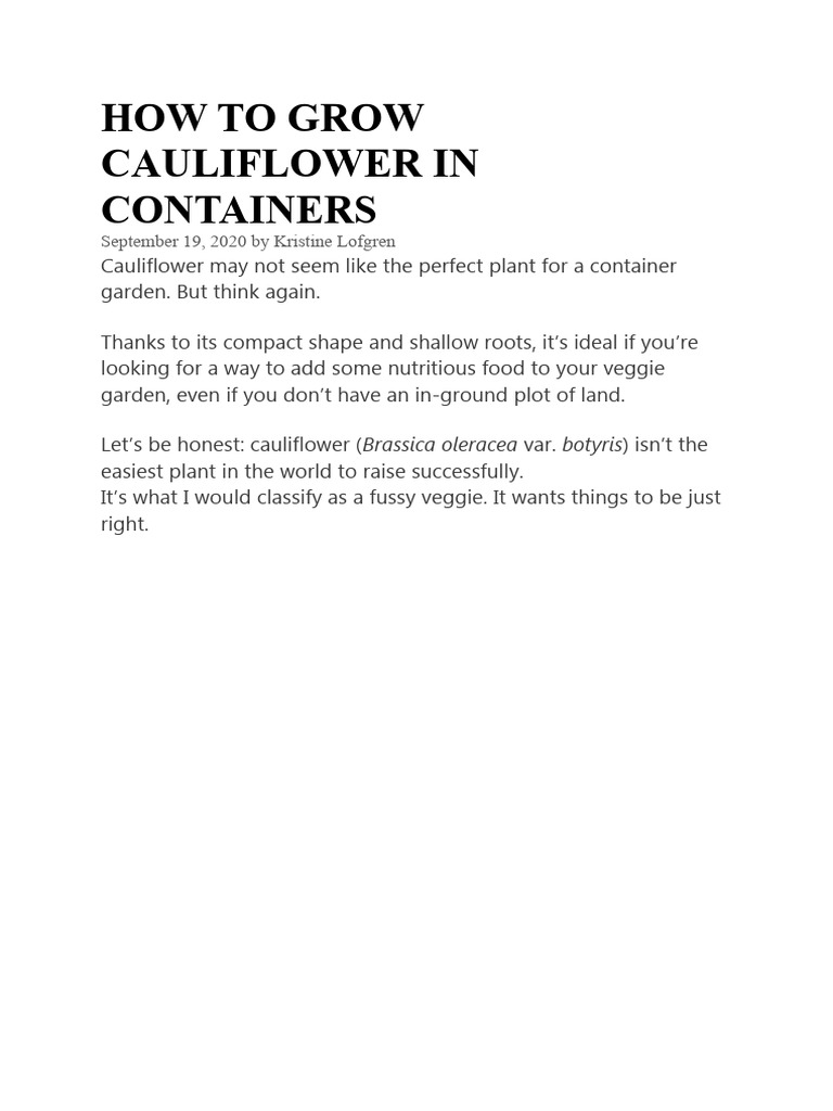 Cauliflower How To Grow in Containers | PDF