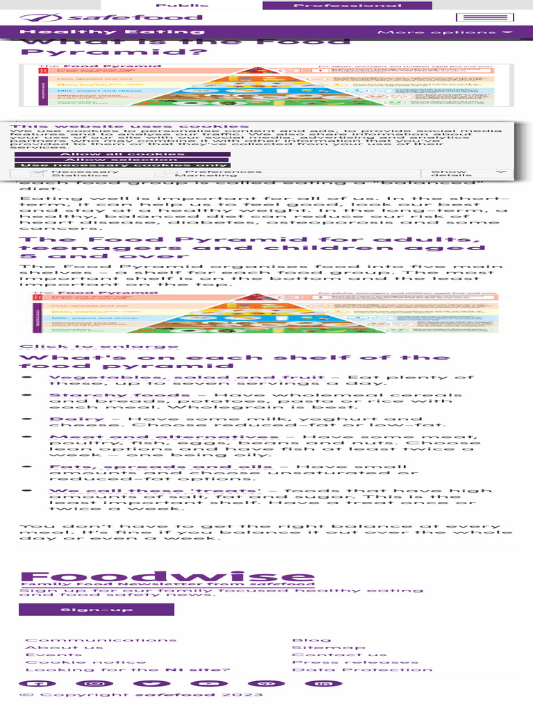 The Food Pyramid Safefood | PDF