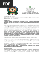 Nawal Batz | PDF | Civilización maya | Amor