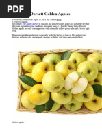 Herbs Dungeons & Dragons - D&D 5e | PDF | Trees | Plants