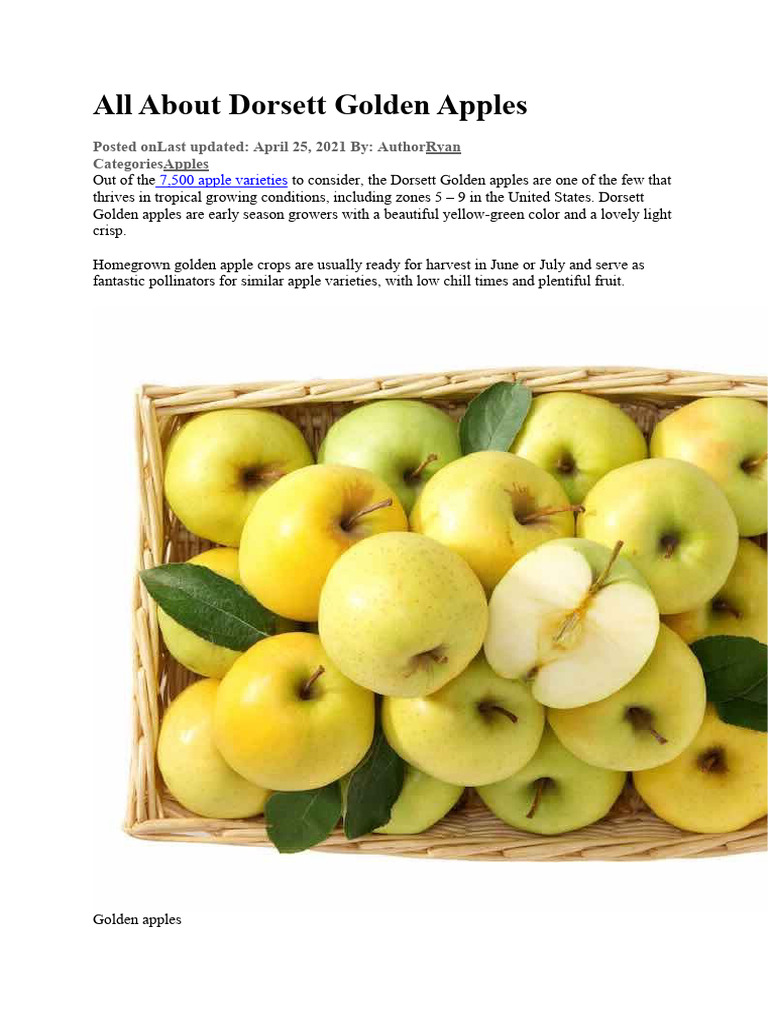 Dorsett Golden Apples | Download Free PDF | Apple | Trees