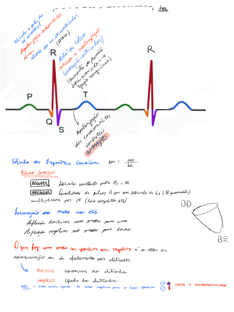 Notas ECG | PDF