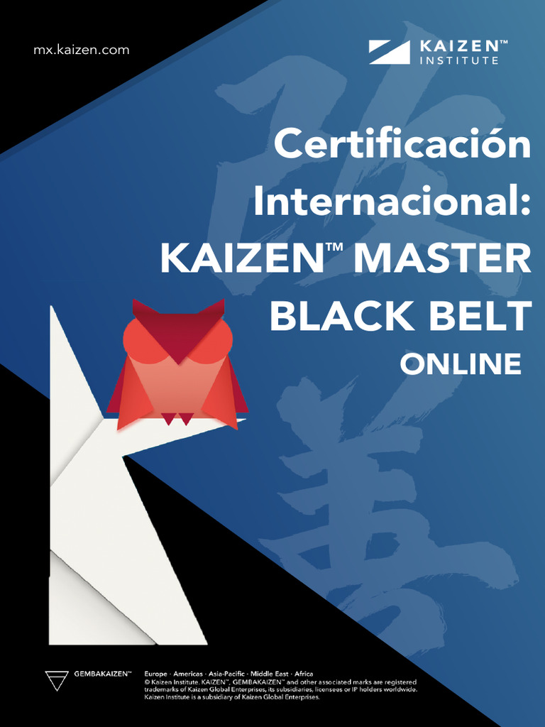 Brochure Kaizen Master Black Belt | PDF | Six Sigma | Producción y fabricación