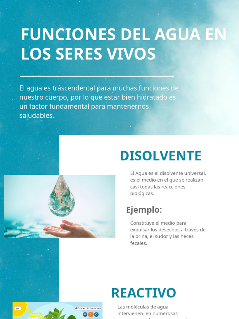 Funciones Del Agua | PDF