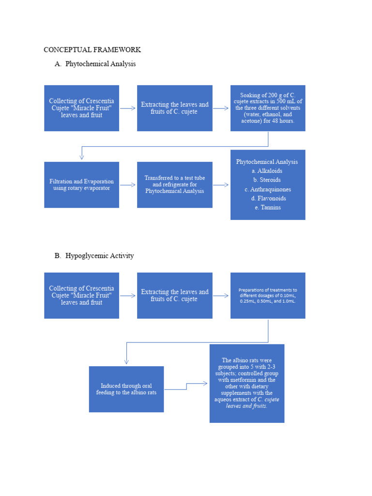 Conceptual Framework | PDF