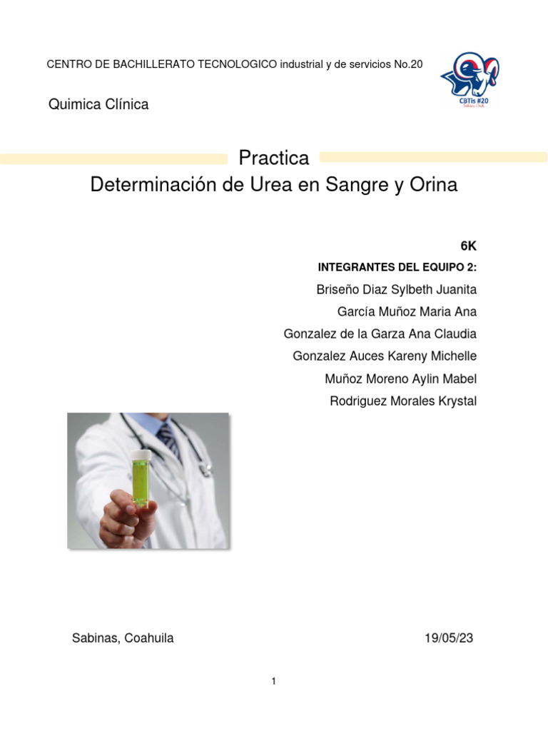 Determinacion de Urea en Sangre y Orina | PDF