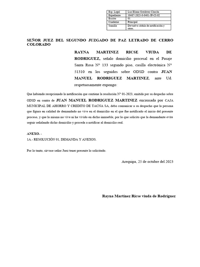 Devuelvo Cédula de Notificación | PDF