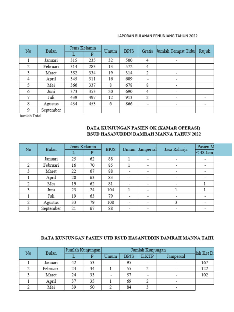 Laporan Kunjungan Pasien RS 2022 | PDF