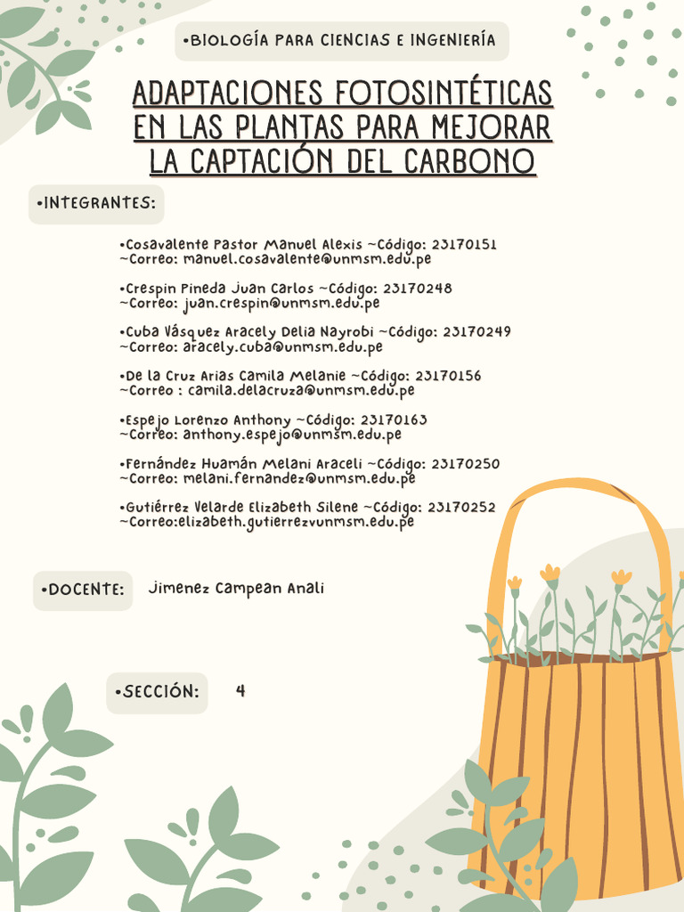 Adaptaciones Fotosintéticas en Plantas | PDF | Fotosíntesis | Plantas