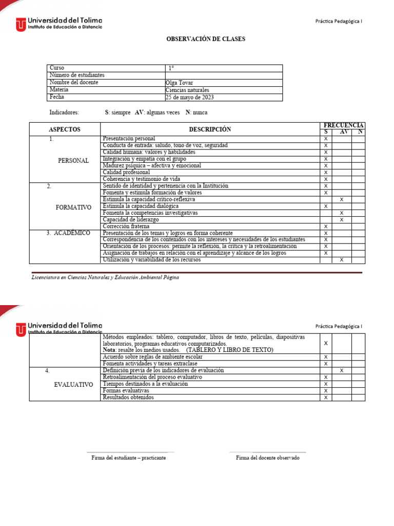 Formato Observacion de Clase | PDF | Evaluación | Maestros