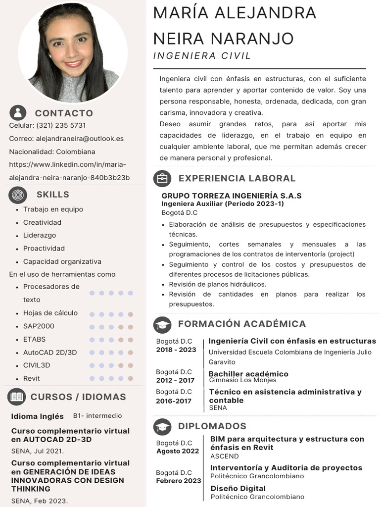 Perfil Profesional de Ingeniera Civil | PDF | Autodesk Revit | Ingeniería