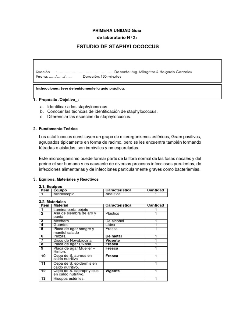 Practica de Staphylococcus.1 | PDF | Staphylococcus Aureus | Organismos