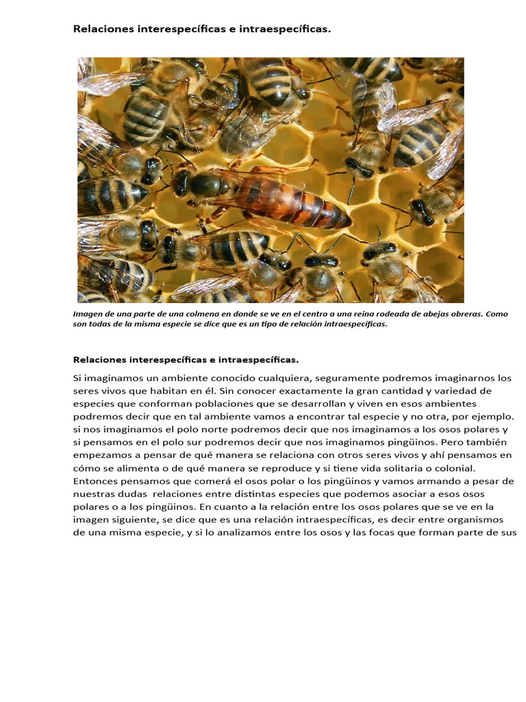 Relaciones Intraespecíficas y Interespecíficas | PDF | Depredación ...