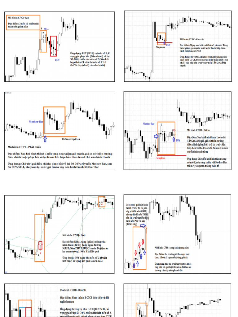 LCCM Flashcard | PDF