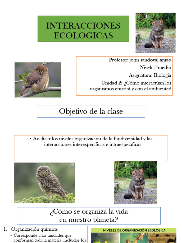 Las Interacciones Ecológicas: Descubre Qué Son Y Cómo Funcionan – PTPSJ