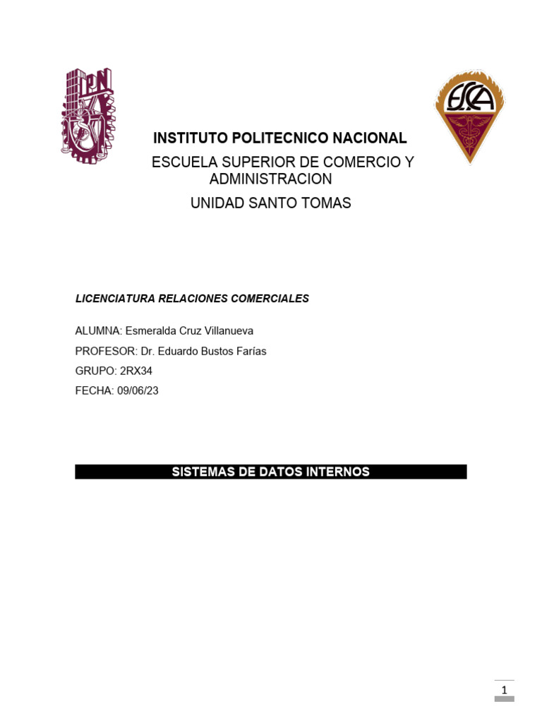 Act - Sistemas de Informacion Interno | PDF