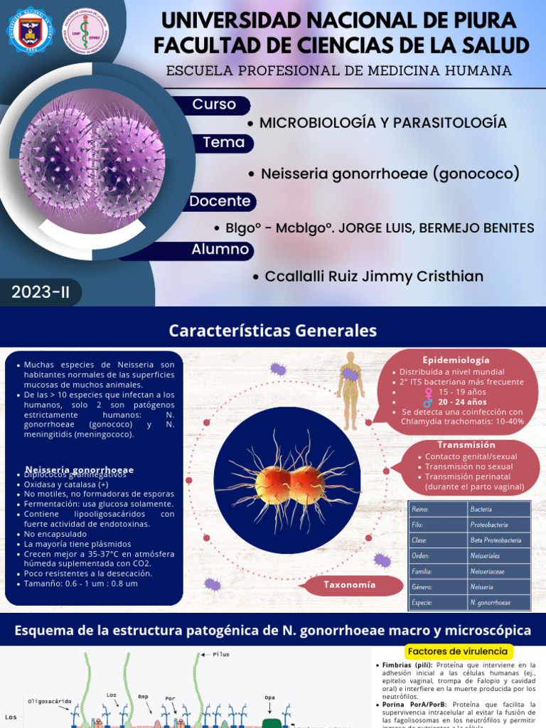 Neisseria Gonorrhoeae (Gonococo) | PDF