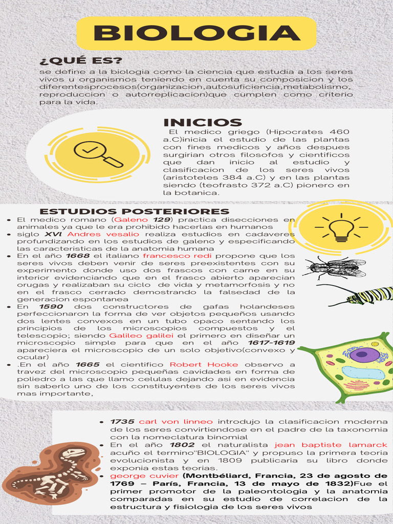 Infografía de BIOLOGIA | PDF