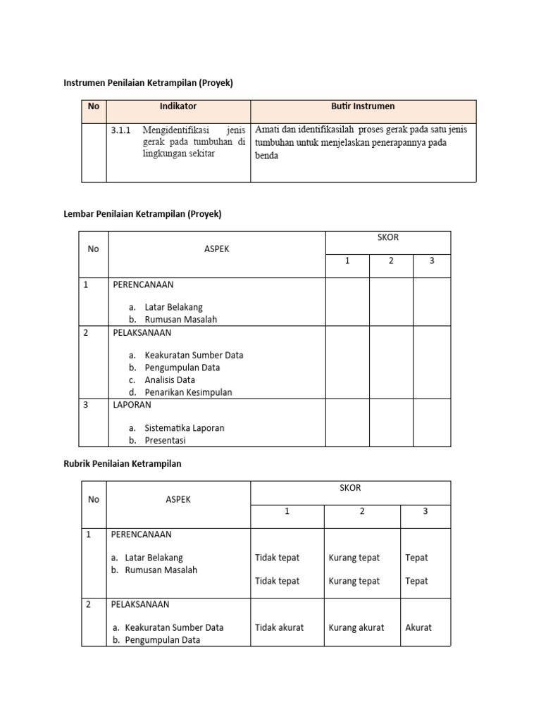 Penilaian Keterampilan Proyek | PDF | Komputer | Teknologi & Rekayasa