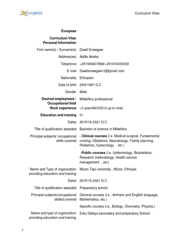 Dawit CV Eruo Pass | PDF