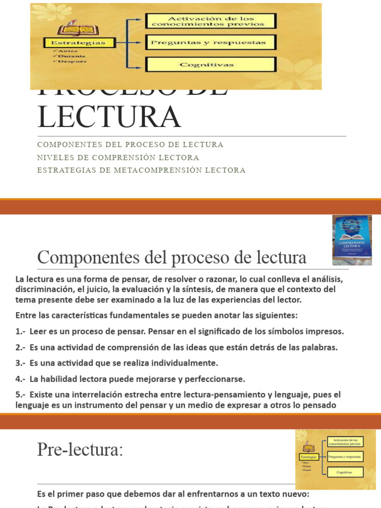 Proceso de Lectura | PDF | Comprensión lectora | Percepción