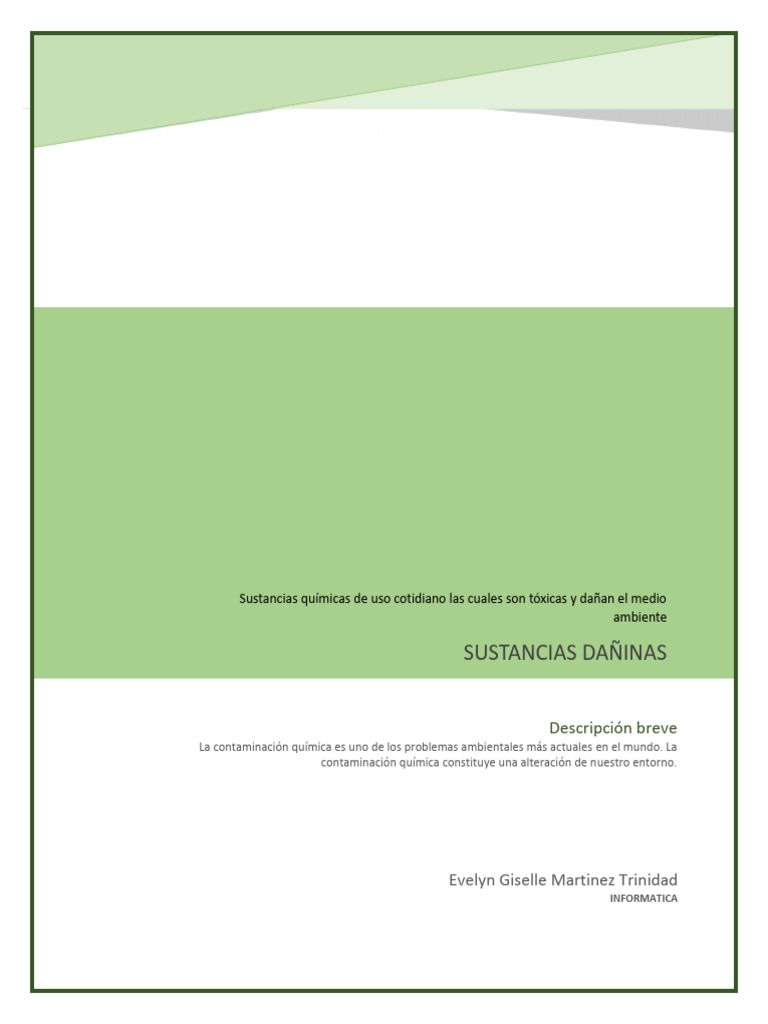 Sustancias Químicas de Uso Cotidiano Las Cuales Son Tóxicas y Dañan El Medio Ambiente | PDF ...
