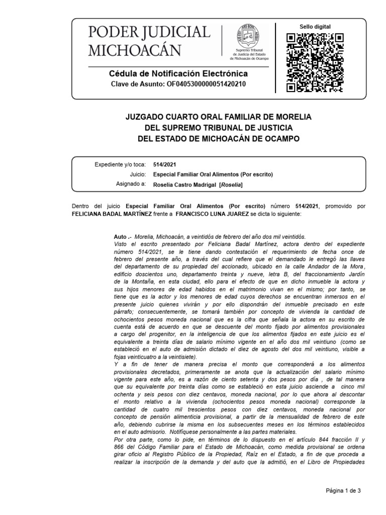 Cobro de Alimentos | PDF | Pensión alimenticia | Justicia