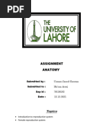 Goniometry of Cervical Spine | PDF