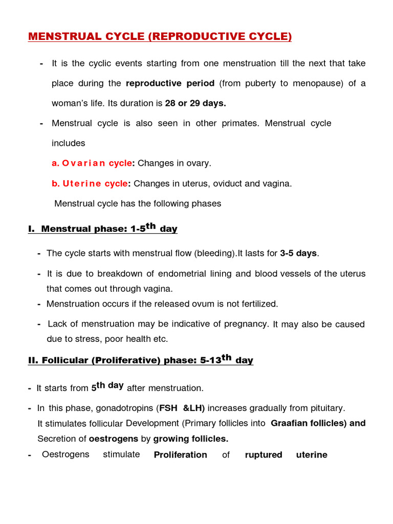 Menstrual Cycle (Ncert Based) | PDF | Menstrual Cycle | Reproduction