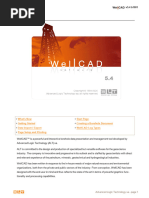 Wellcad Tutorial | PDF | Computer File | File Format
