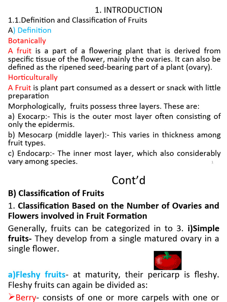 Understanding Fruit Classification and Importance | PDF | Fruit ...