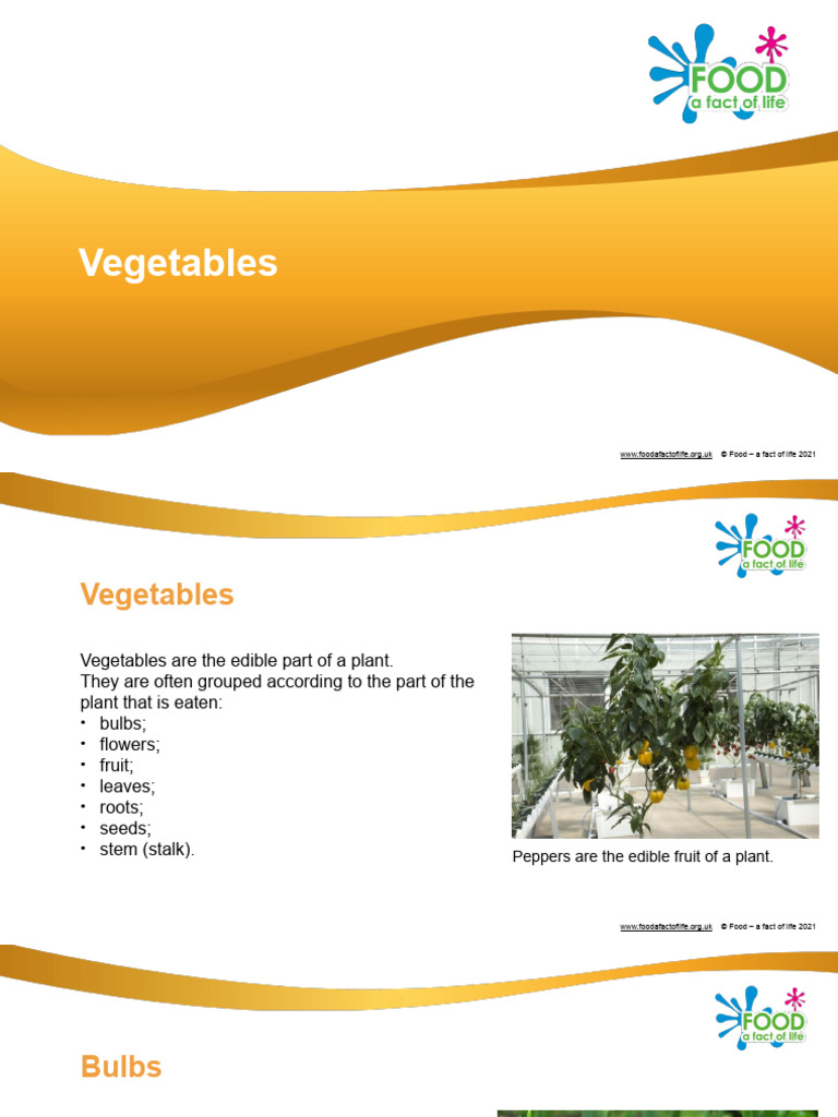 Types of Edible Vegetables Explained | PDF | Vegetables | Foods