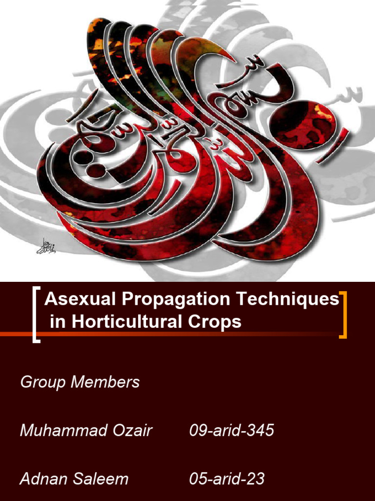 Dokumen - Tips Plant Propagation Techniques | PDF