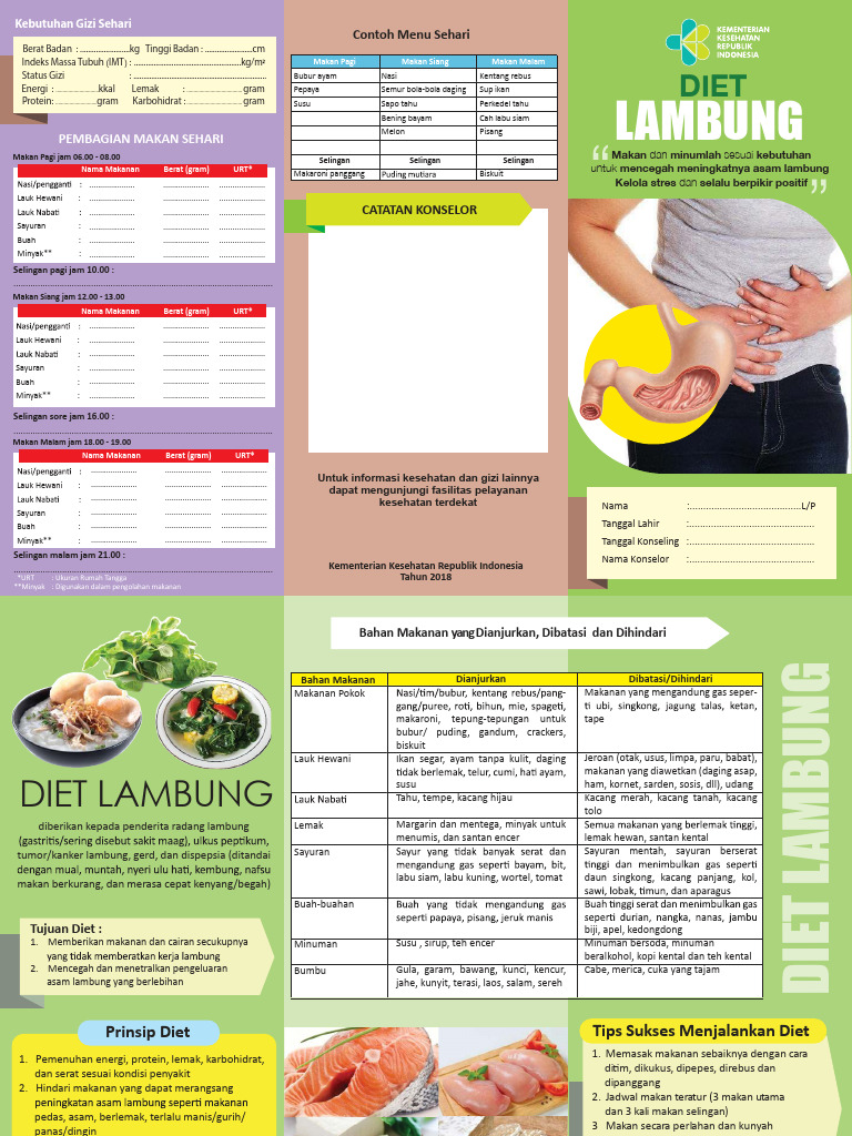 8 Diet Lambung Leaflet Diet Kemenkes | PDF