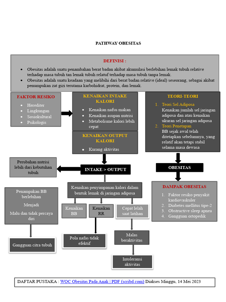 Pathway Obesitas Kelompok 1 | PDF | Kesehatan Holistik