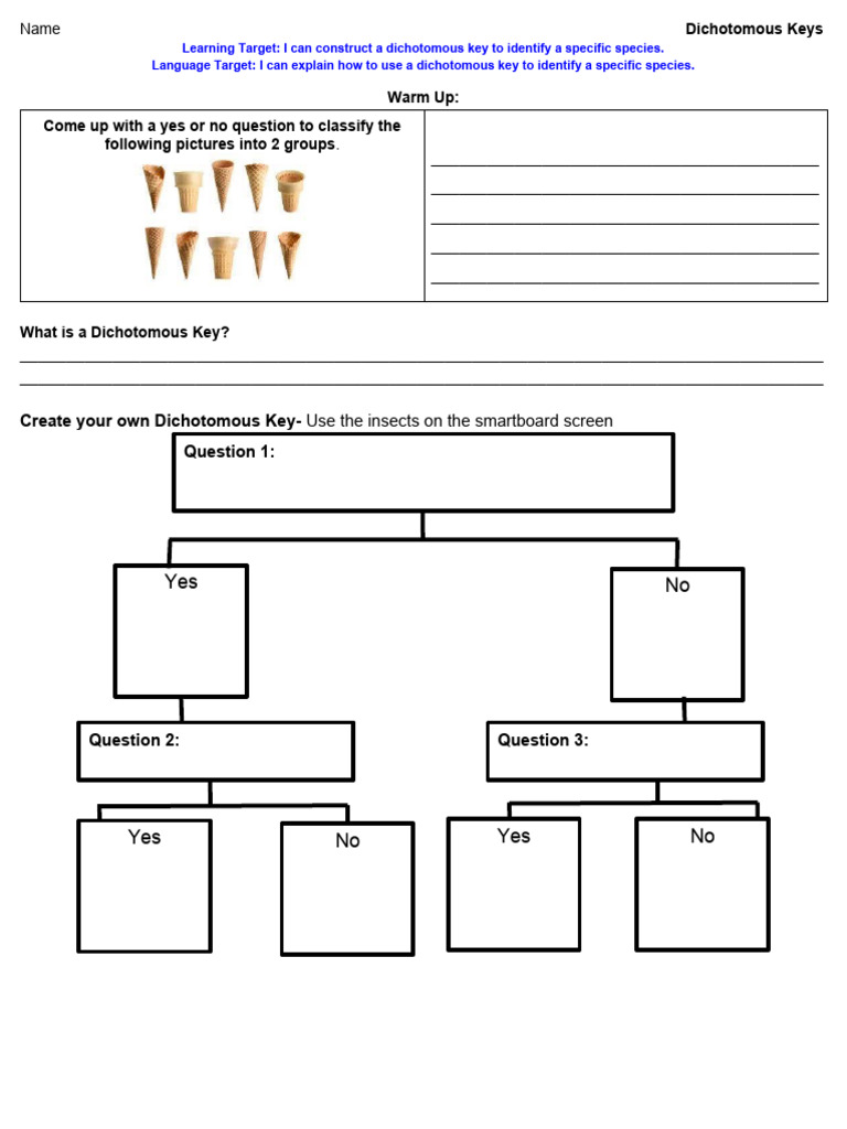 Dichotomous Keys Worksheet | PDF