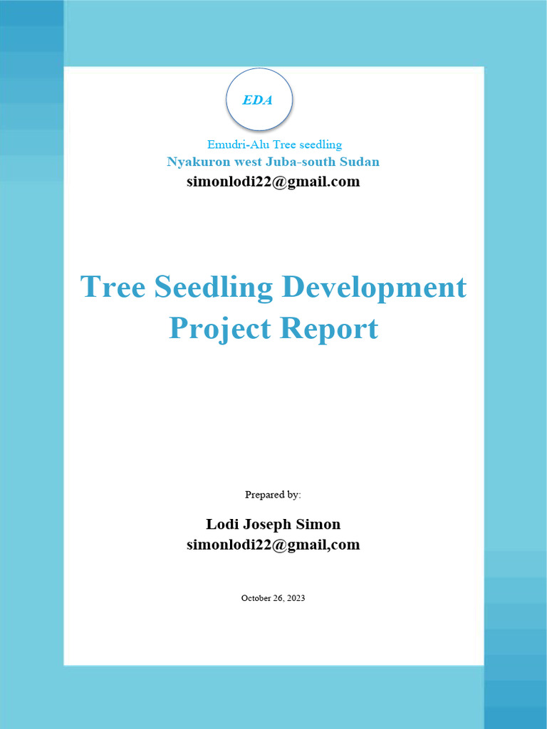 Small Business Development Project Template | PDF | Pricing | Marketing ...