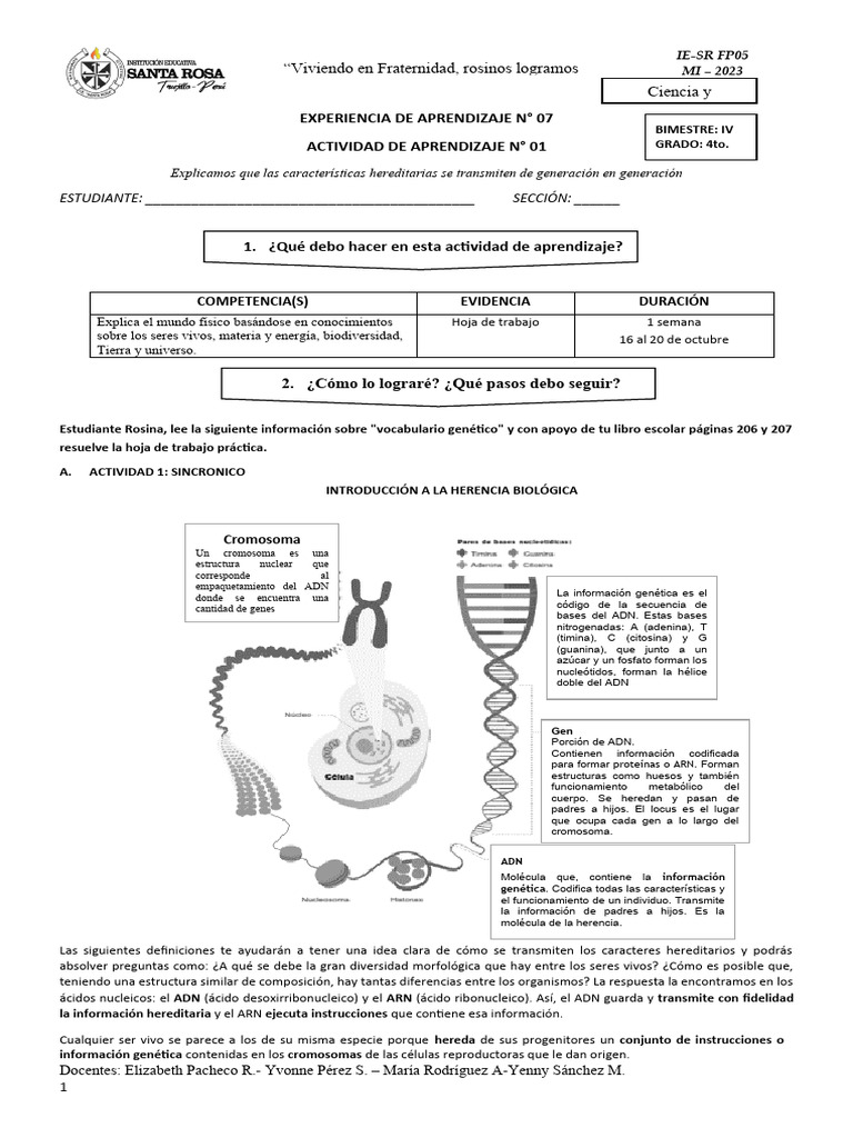 Herencia Biológica y Vocabulario Genético | PDF | Dominancia (Genética ...