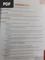 Positive Widal Test Report for Typhoid | PDF | Hematology | Blood
