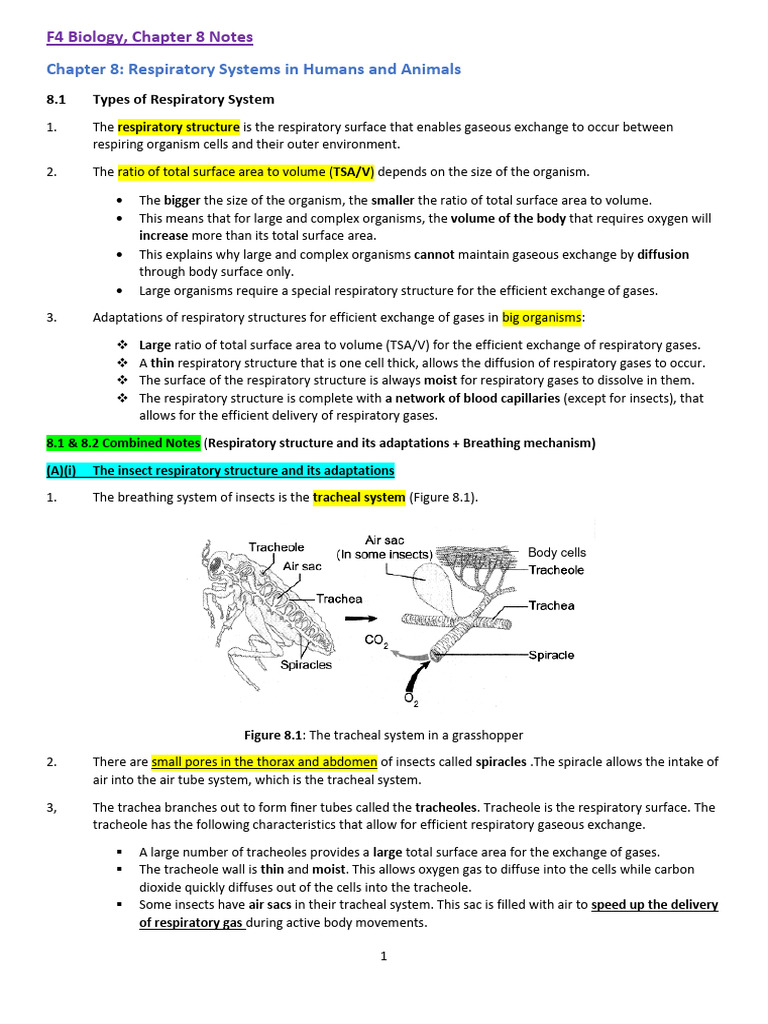 F4Bio (C8) Notes | PDF | Respiratory System | Gill
