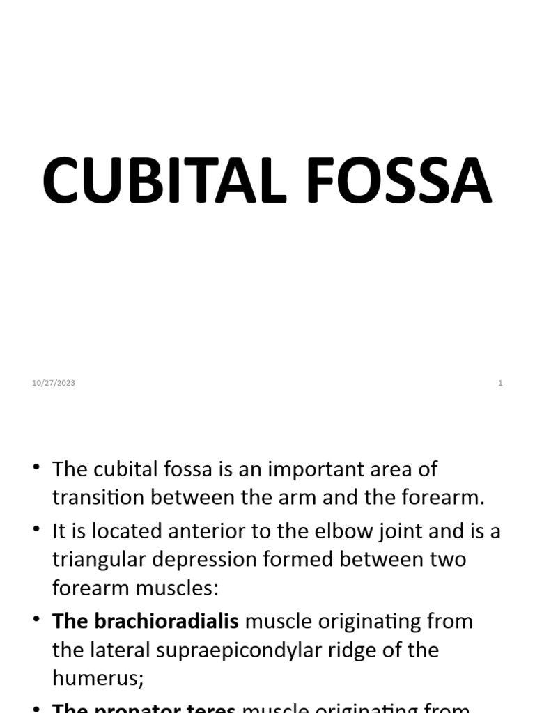 Cubital Fossa | PDF | Arm | Musculoskeletal System