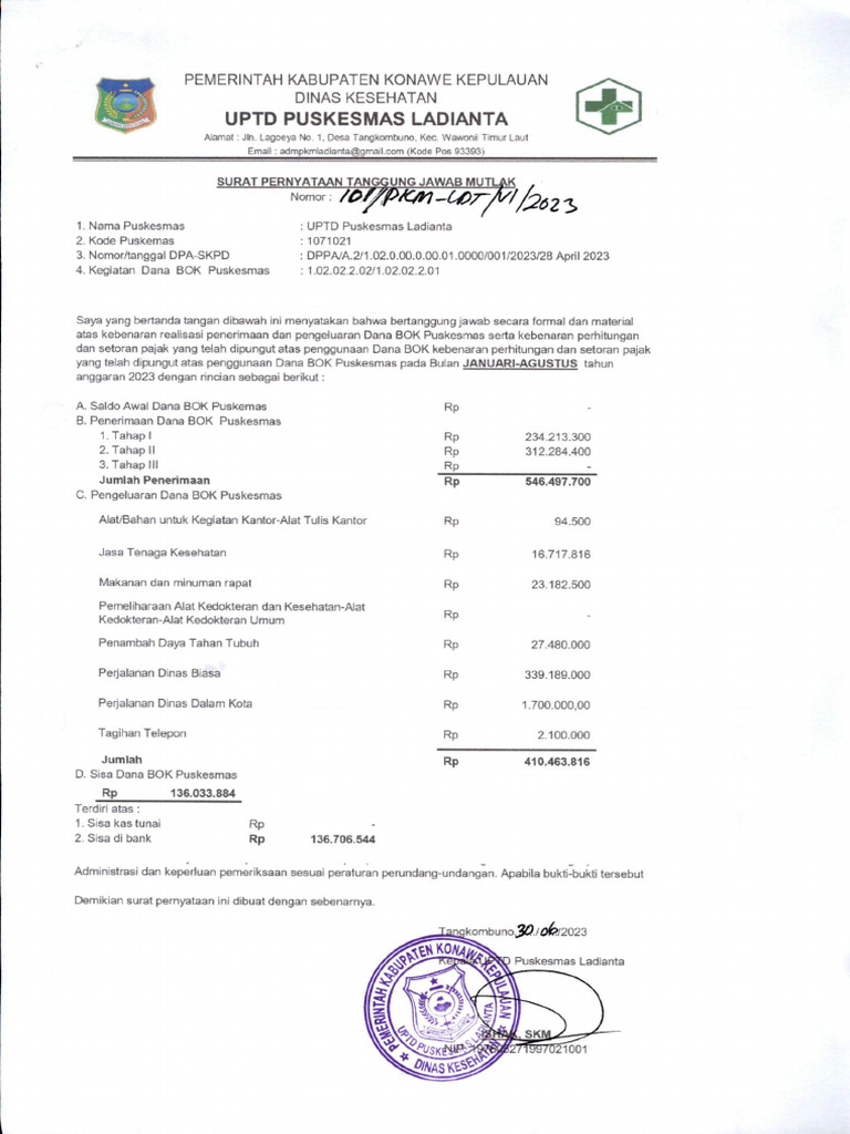 Laporan Realisasi Bok Permenkes | PDF