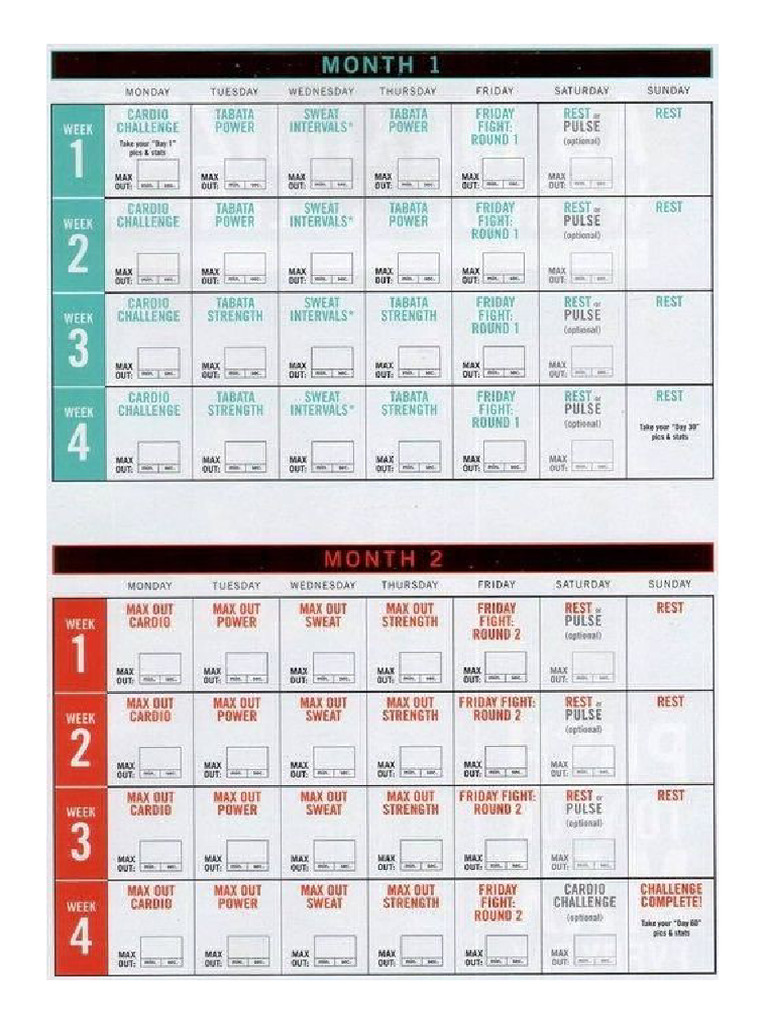 Insanity Max 30 Program | PDF